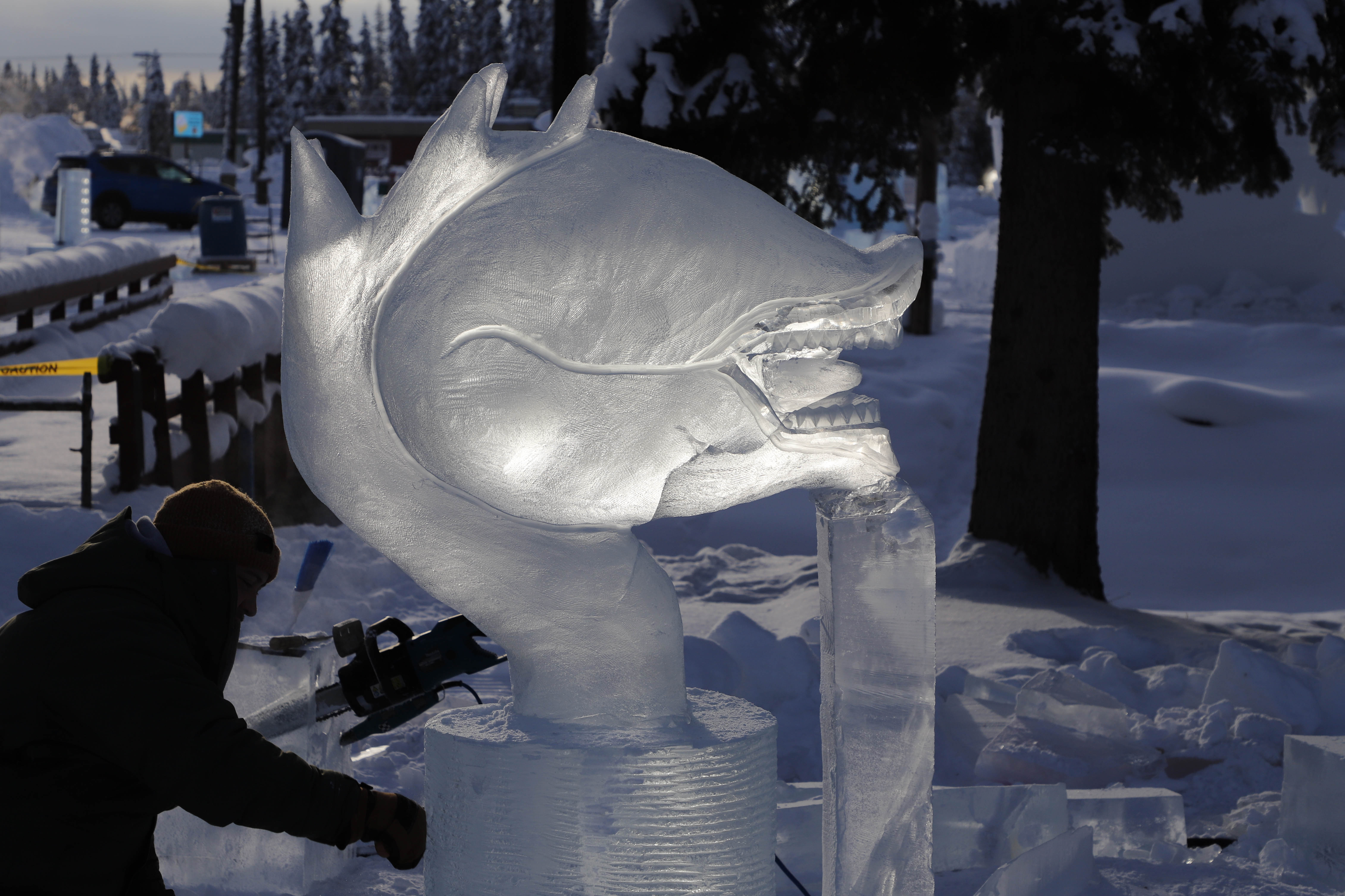 Nic’s Seymour | Ice Alaska
